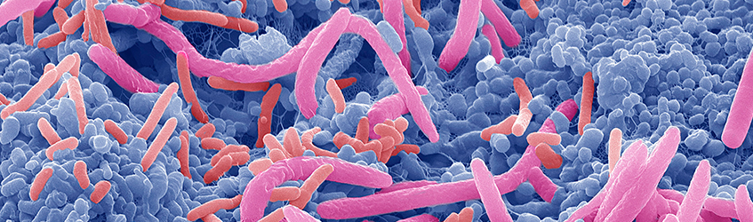 For Health Professionals | Southern Cross NZ